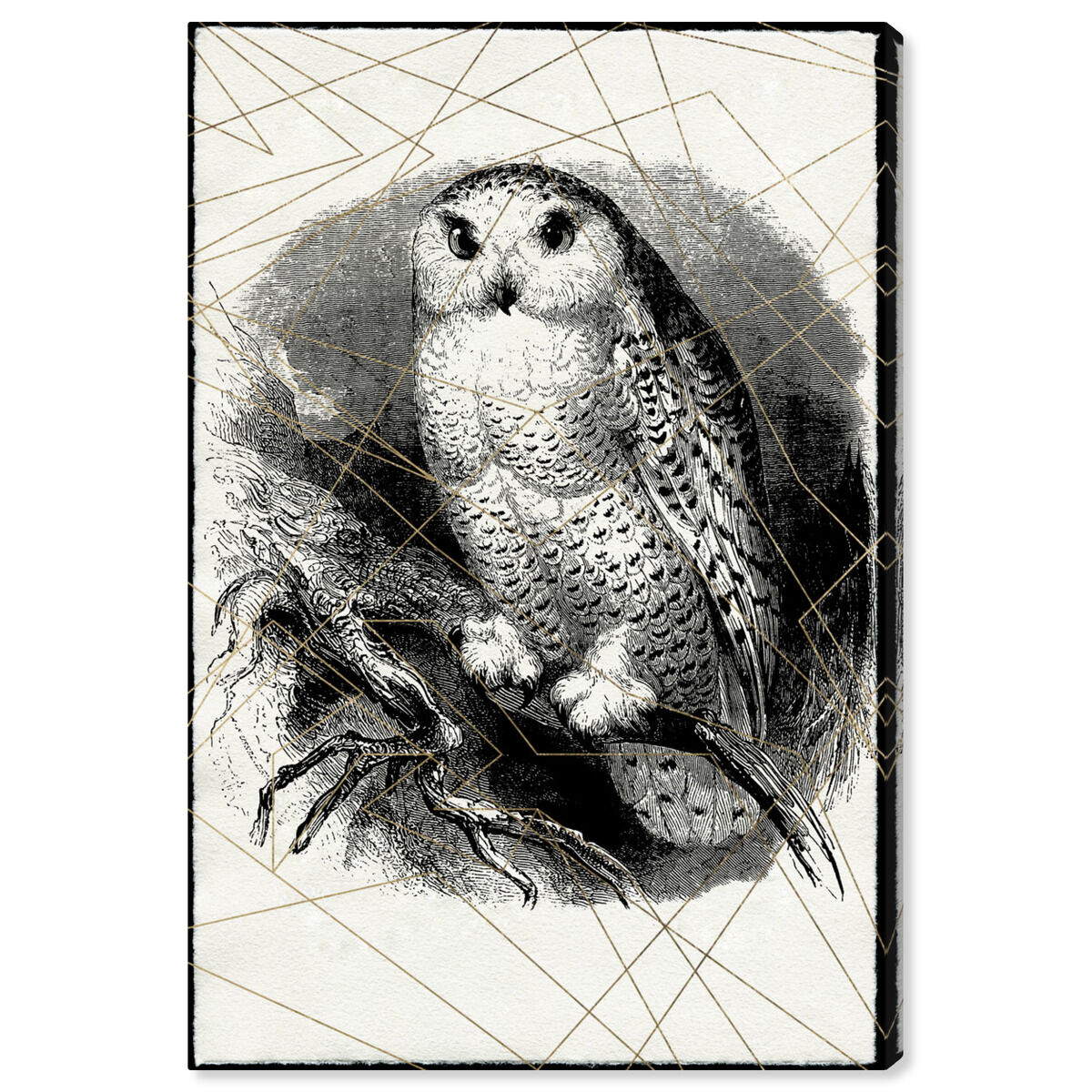 Owl Print | Wall Art by Oliver Gal