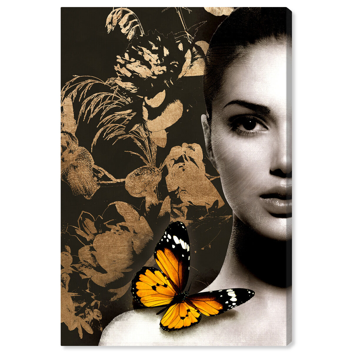 Elusive Monarch Duchess | By Oliver Gal